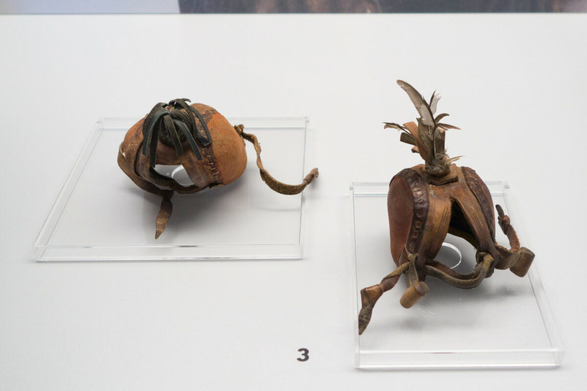 Different Types of Hoods in Falconry | Learn Falconry